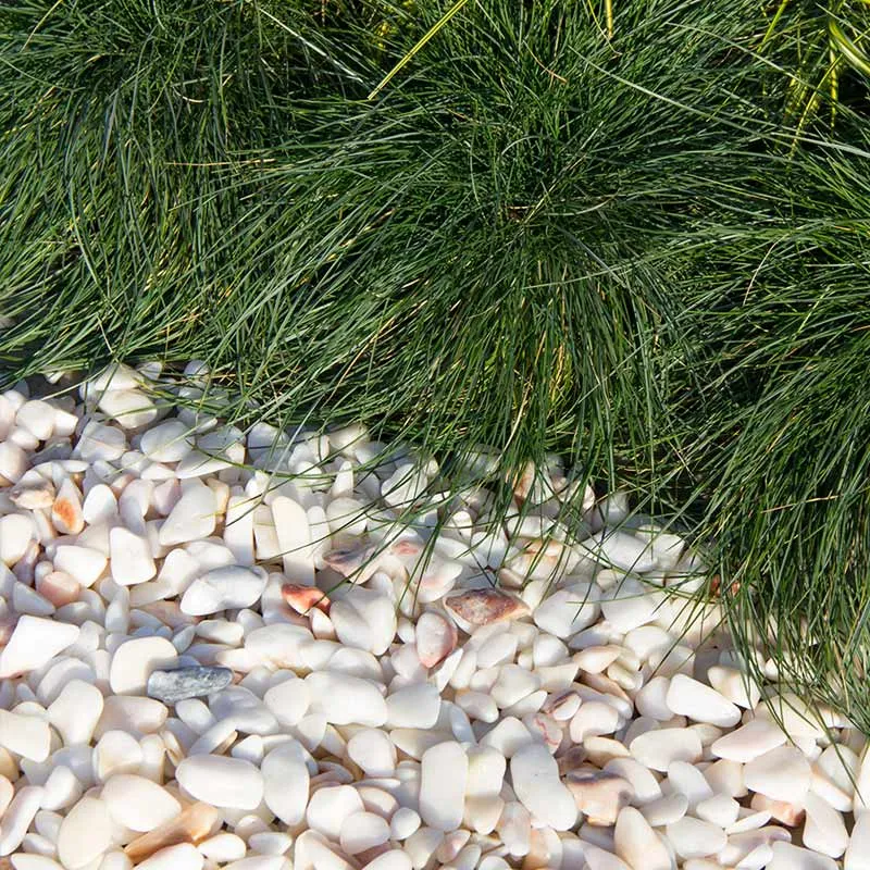 Rosa Milano Kies 12-18 mm Big Bag 1600 Kg - Tietz Baustoffe GmbH